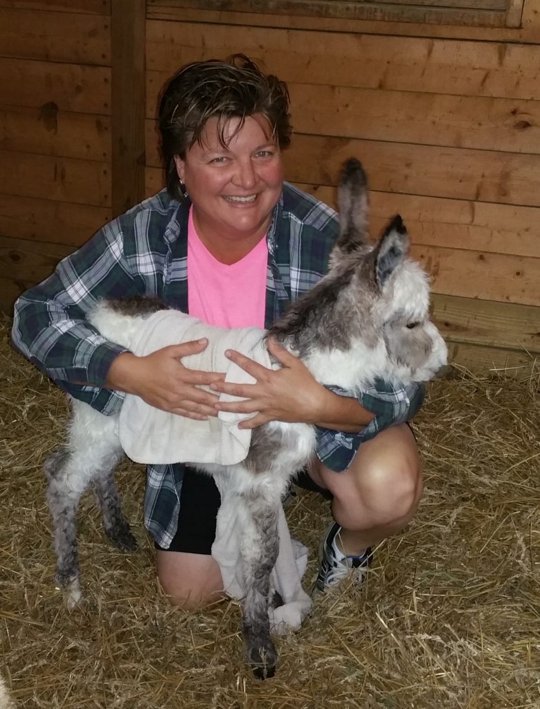 Little Longears Miniature Donkey Rescue