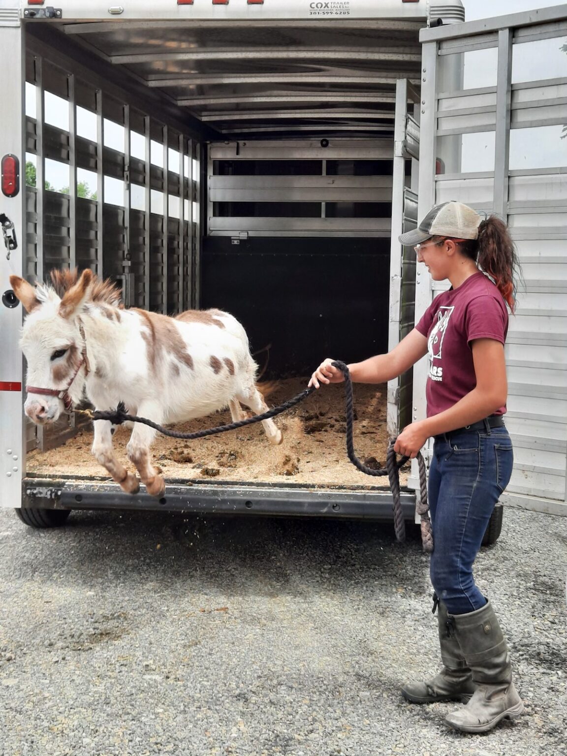 June 2021 Update | Little Longears Miniature Donkey Rescue